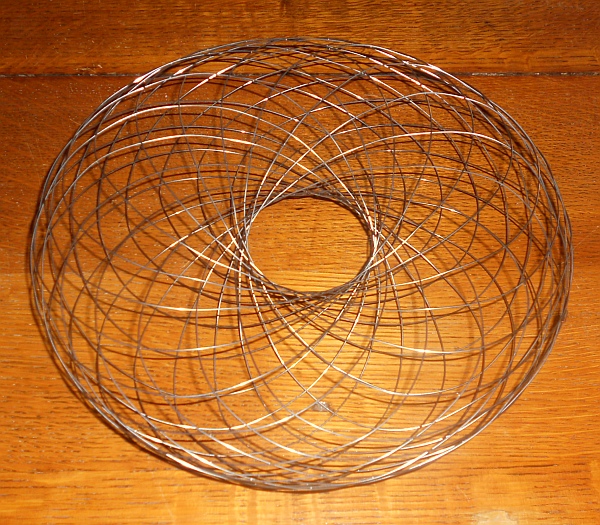 Math Monday Wire Torus Challenge Make