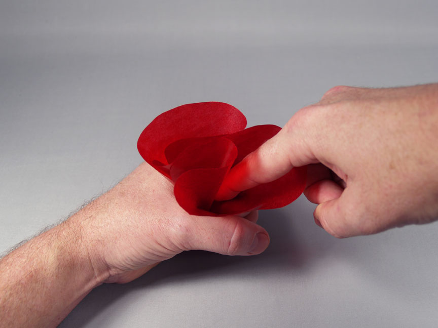 Papercraft Tutorial: Paper Poppy | Make: