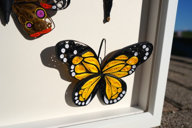 Paper Quilled Insects: Capture Beauty, Not Bugs | Make: