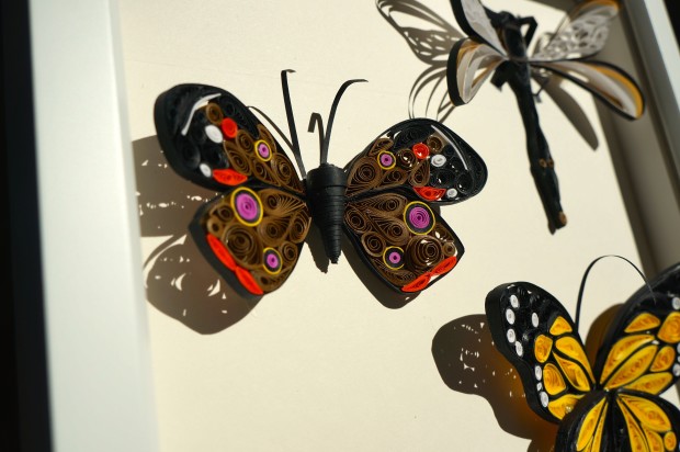 Paper Quilled Insects: Capture Beauty, Not Bugs | Make: