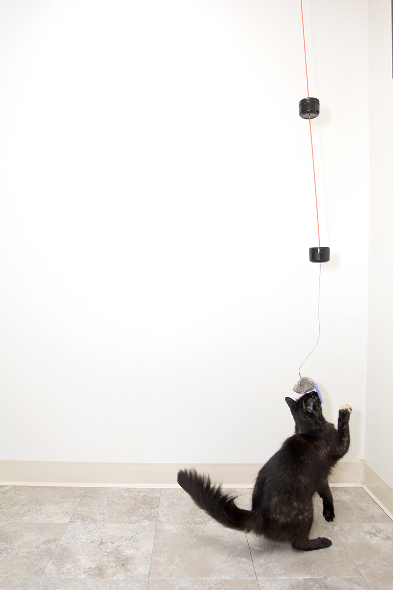 String Up a Simple, Chaotic Double Pendulum Cat Toy - Make: