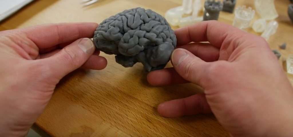 3D Print Your Own Brain! - Make: