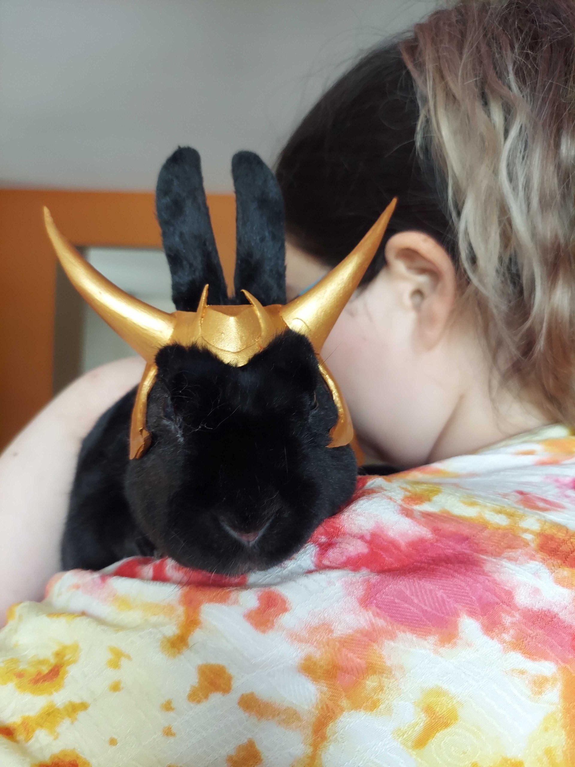 Turn Your Pet Into A Loki Variant With This Quick Tutorial - Make: