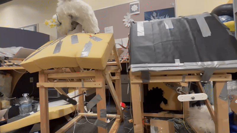 Quinn Liu on Tactile Art, Teamwork, and a Giant Cat Butt - Make: